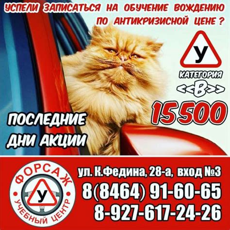 Последние дни акции!