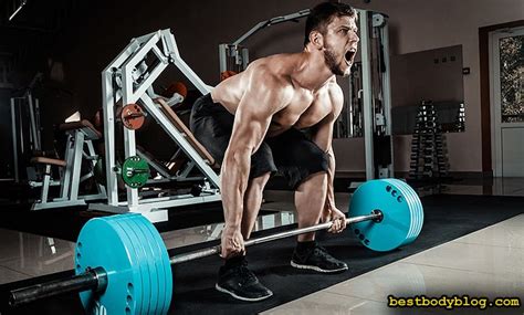 Предтренировочный комплекс NO-Xplode | Мой отзыв | bestbodyblog.com