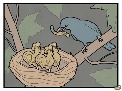 Кормёжка | Пикабу