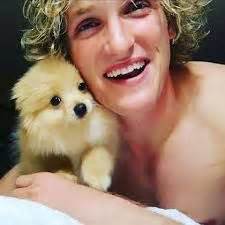 22 Sofie Dossi and Logan Paul ideas | sofie dossi, logan paul, logan