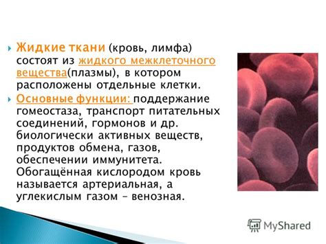 Презентация на тему: "В организмах животных и человека выделяют ...