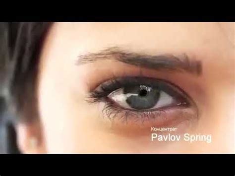 Глобал Тренд Спрей Павлов Спринг Pavlov spring - YouTube