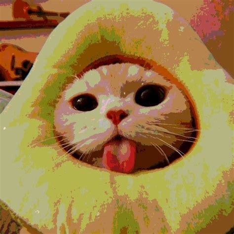 Кот авокадо 🥑 | Grinch
