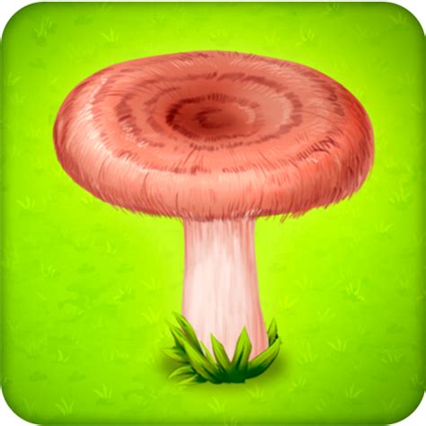Приложения в Google Play – Грибники и Кланы: ферма