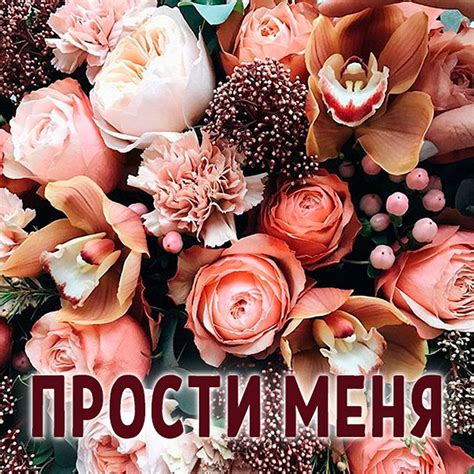 Открытки прости меня