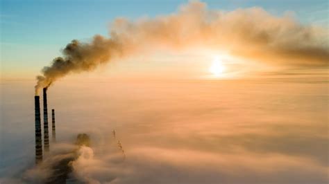 European carbon certification: The unlikely alliance - Euractiv
