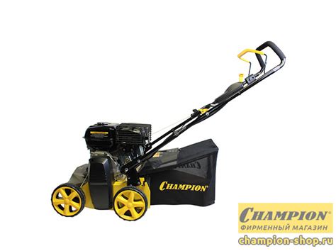 Скарификатор бензиновый Champion GSC5140 GSC5140 - Скарификаторы в ...