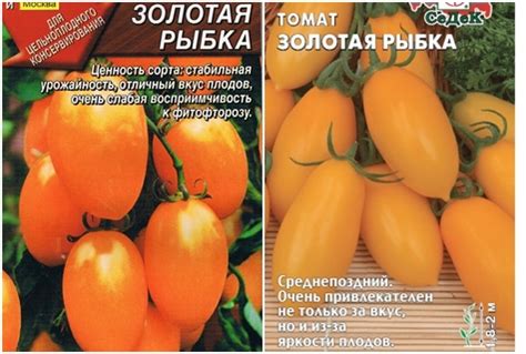 Томат Золотая рыбка: характеристика и описание индетерминантного сорта ...