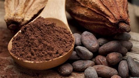 Экстракт какао своими руками | Raw cacao, Peanuts nutrition, Chocolate ...