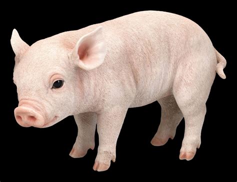 Pig Figurine - Piggy | www.figuren-shop.de