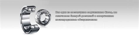 подшипник—Шариковые и роликовые подшипники