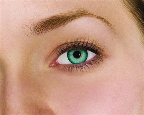 Контактные линзы FreshLook Dimensions 00 – купить FreshLook Dimensions ...