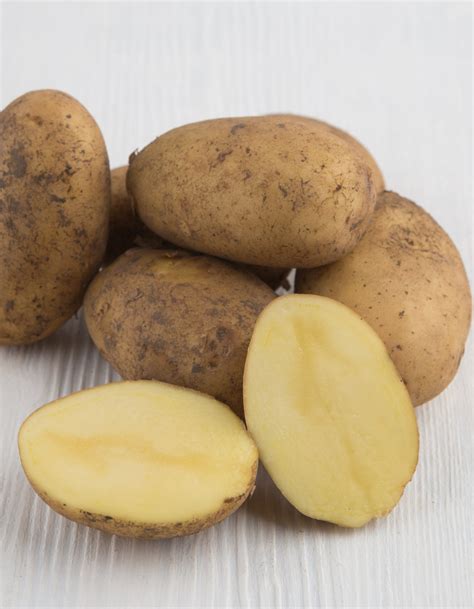 Картофель Ассоль