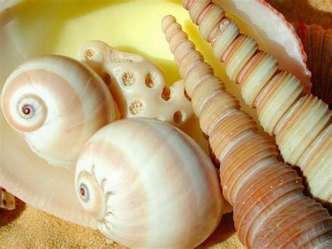 МОЙ МИР: МОРЕ 2