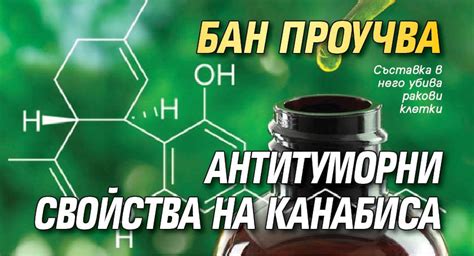 БАН проучва антитуморни свойства на канабиса - Lupa BG