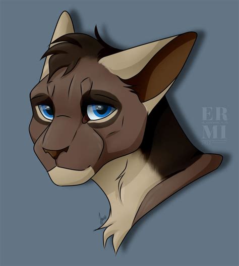 Вкид | •° Коты-Воители •° Amino