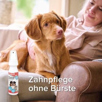 Beaphar Zahnpflege Zerstäuber Spray 150 ml | FRESSNAPF