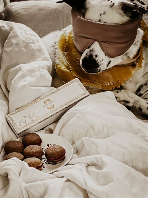 Healthy Handmade Dog Macarons — Go French Yourself