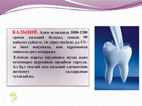 Кальций, фосфор, магний, фтордың адам организміндегі маңызы ...
