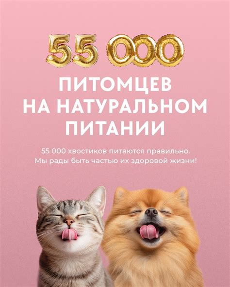 SUPERPET — натуральное питание для кошек и собак | Мы, компания ...