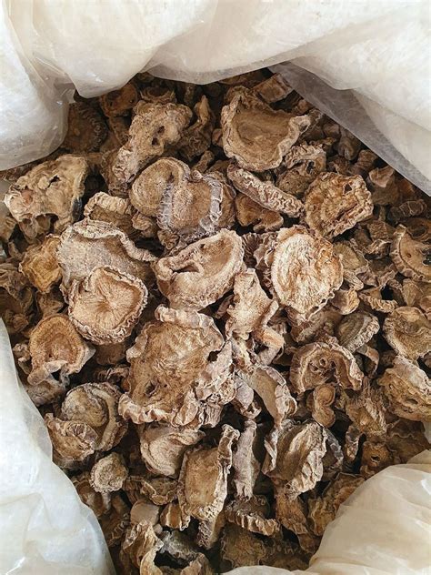 Купить Коготь дьявола (Гарпагофитум) Devil's claw корень сушеный ...