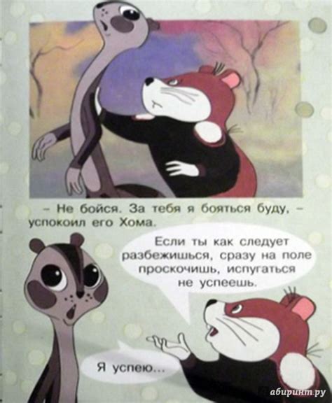 Книга: Приключения Хомы - Альберт Иванов. Купить книгу, читать рецензии ...