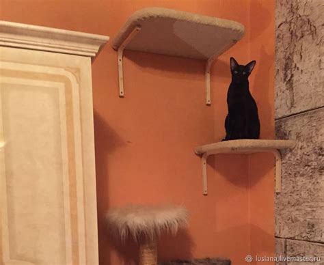 Полка для кота – Настенные полки переходы для кошек купить. Заказать в ...