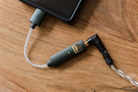iFi Audio GO Link | Hifi Pig
