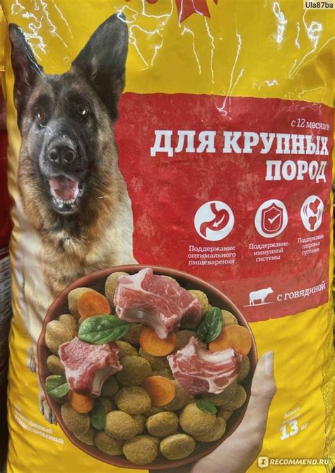Корм для собак Pedigree Сухой корм (говядина) для собак крупных пород ...