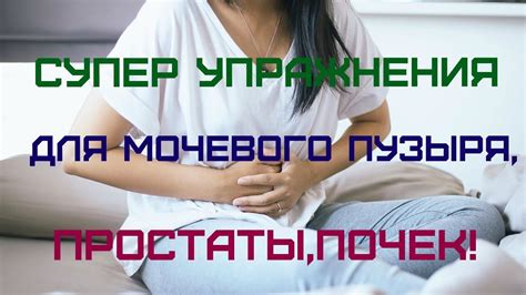 СУПЕР УПРАЖНЕНИЯ ДЛЯ МОЧЕВОГО ПУЗЫРЯ,ПРОСТАТЫ,ПОЧЕК! - YouTube