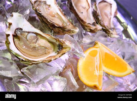 oysters Stock Photo - Alamy