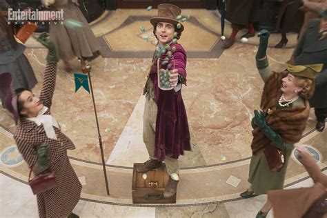Wonka's director didn't want Timothée Chalamet prequel to reinvent original