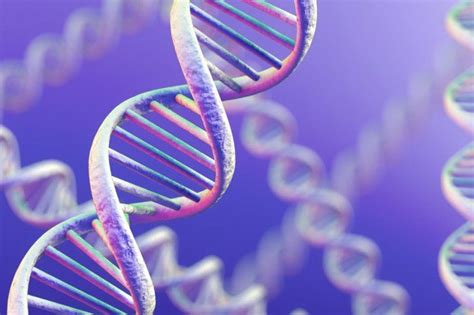 Основы генетики и селекция – теоретические основы в биологии