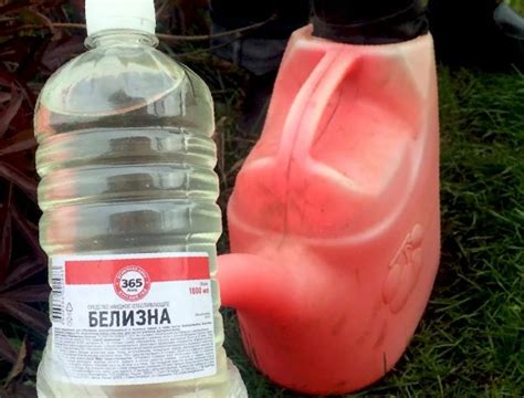 Забытый советский метод использования Белизны весной от болезней и ...