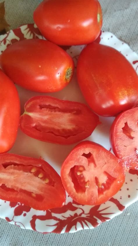 Томат Кубань: описание сорта, отзывы, фото | tomatland.ru