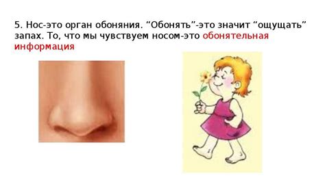Чувствую запахи, которых нет - что это значит, возможные причины и лечение