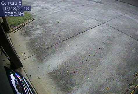 LIVE CAM 6