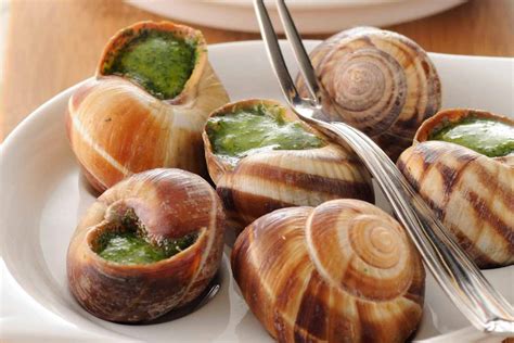 Escargot é caracol? Conheça o clássico da gastronomia francesa ...