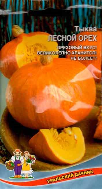 Тыква Лесной Орех: характеристика и описание сорта с фото