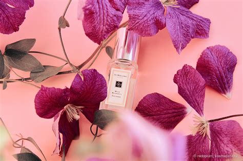 Ароматы Jo Malone на каждый день | Отзывы покупателей | Косметиста