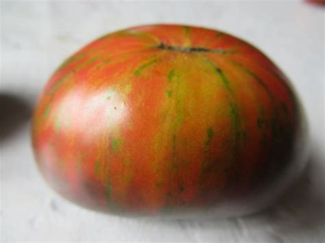 Томат Ananas Zebra