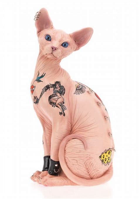 BDSM Cats (9 pics)