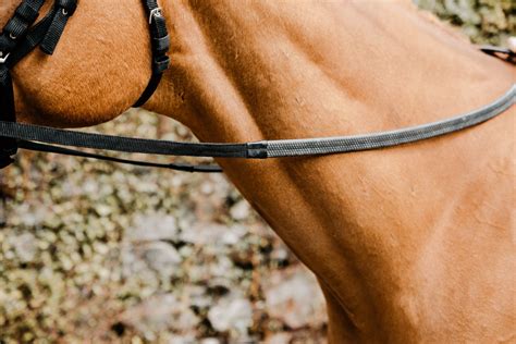 Nylon Reins - Tack & Things Equestrian Shop