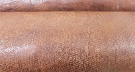 Homepage - Leather Conservation Centre