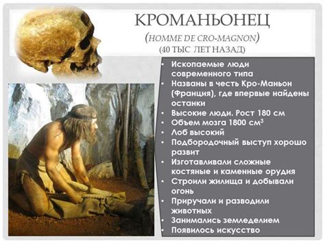 Происхождение человека. 9 класс - презентация онлайн