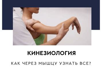 Кинезиология | «Ортомедцентр» Симферополь