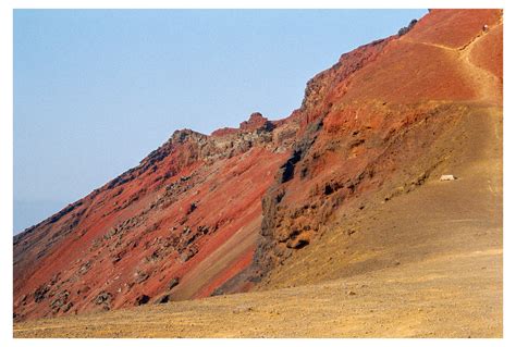 Ultramax 400 > Portra 400, change my mind : r/analog