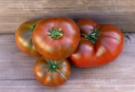МАРАЛИНГА Dwarf Maralinga — BTomate