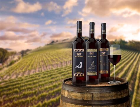 Vino rosso giovane “Gravisca” 75 cl | Valle del Marta
