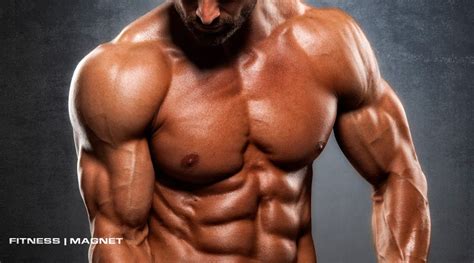 Alles über Protein - Fitnessmagnet©
